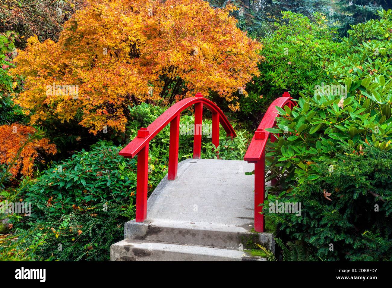 Fujitaro Kubota High Resolution Stock Photography and Images - Alamy