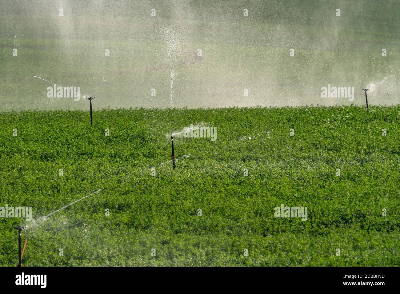 Agricultural sprinklers hi-res stock photography and images - Alamy