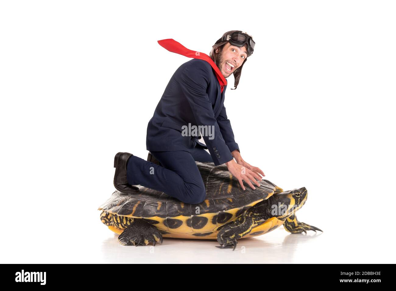 Businessman riding a turtle isolated in a white background Stock Photo ...