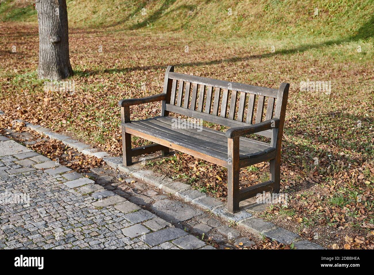 Park bench with colorful autumn leaves Stock Photo - Alamy