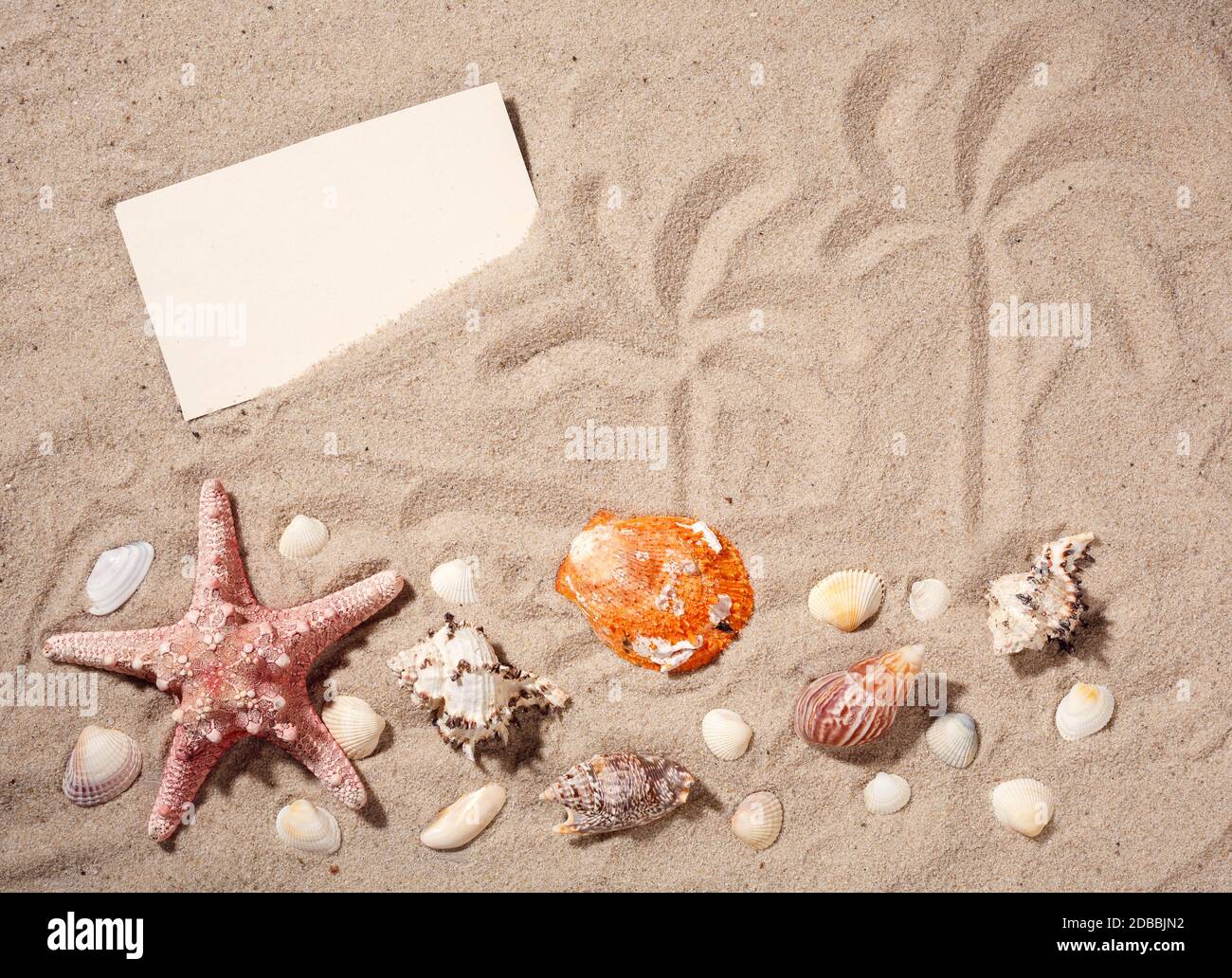 Beach wallpaper sand and shells. Summer background with starfish ...