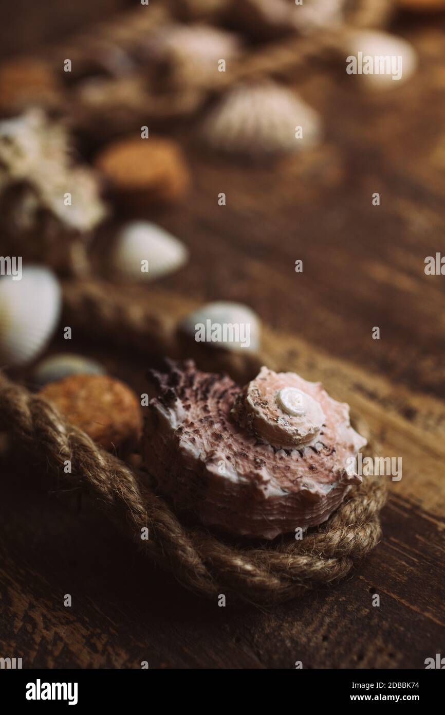 Rope and seashells on old wooden burned table or board for background ...