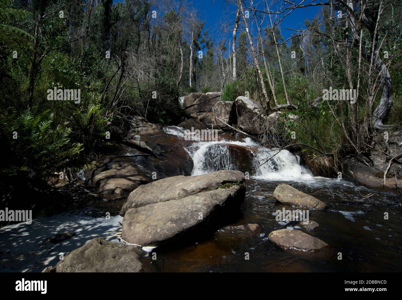 Murrindindi cascades hi-res stock photography and images - Alamy