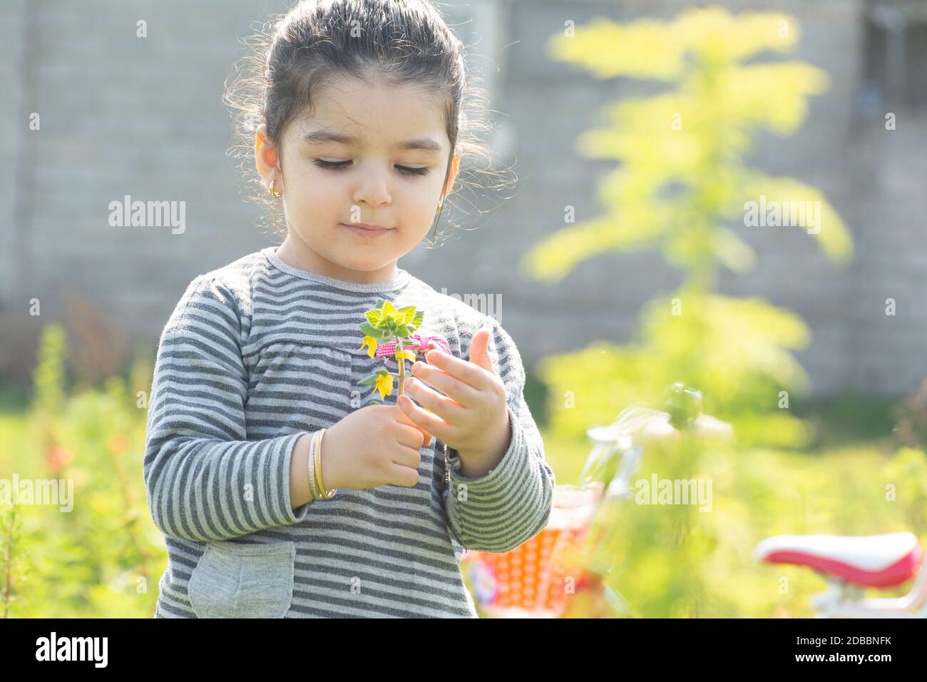 Two years old girl in spring yellow flowers field, natural spring ...