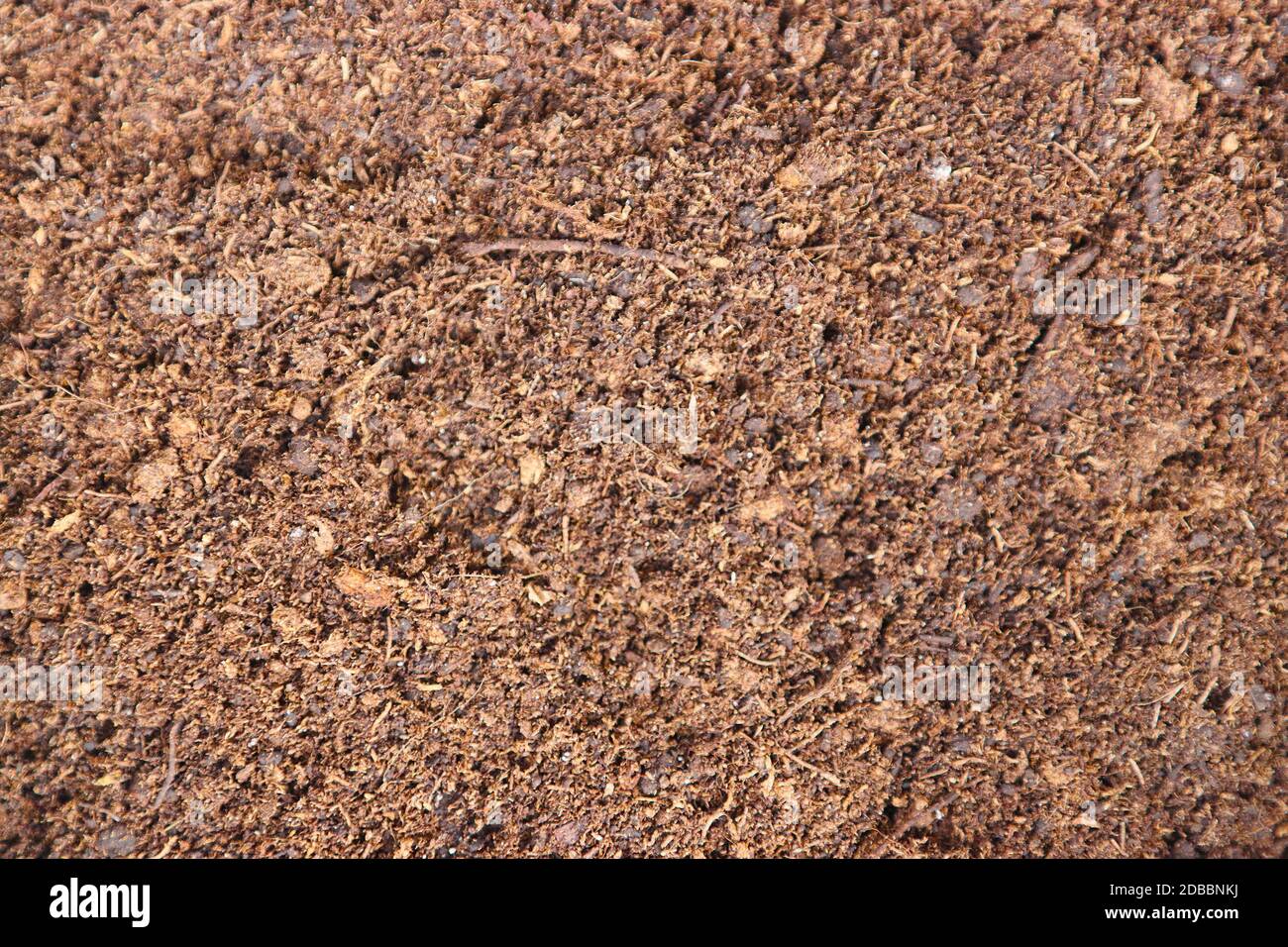 The texture of dry brown peat closeup Stock Photo - Alamy