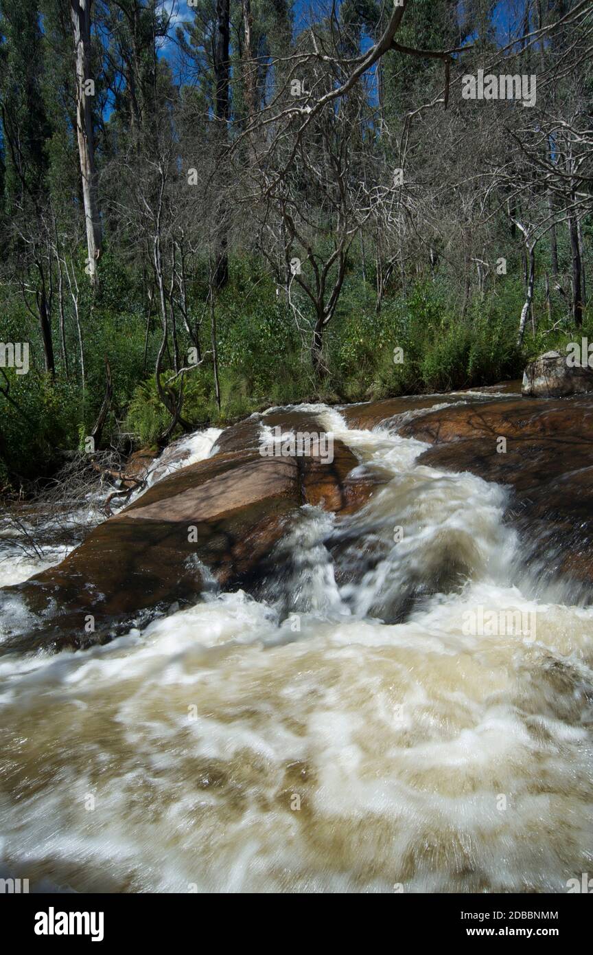 Australian reserve hi-res stock photography and images - Alamy