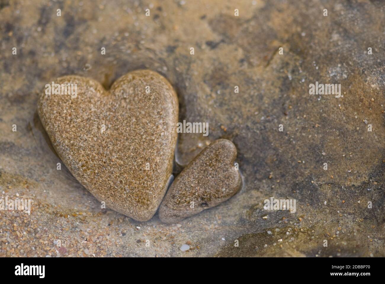 pair of smooth heart shaped pebbles in water Stock Photo - Alamy