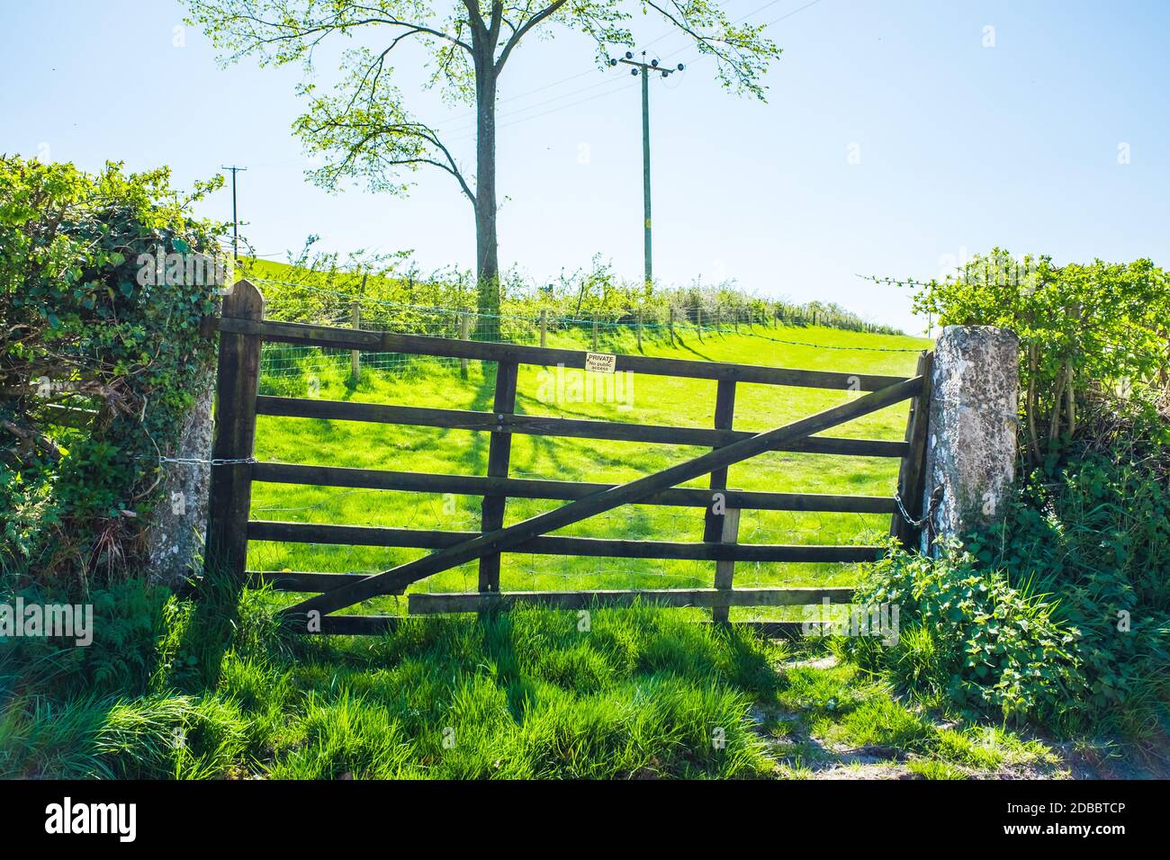 traditional wooden farm gate and stone posts in England Stock Photo - Alamy