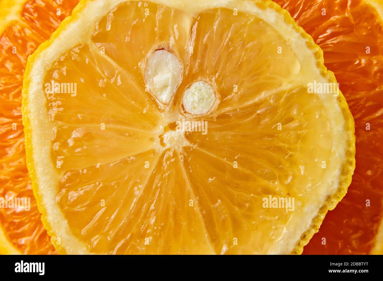 Close up slice of orange with the bones visible. Healthy lifestyle ...