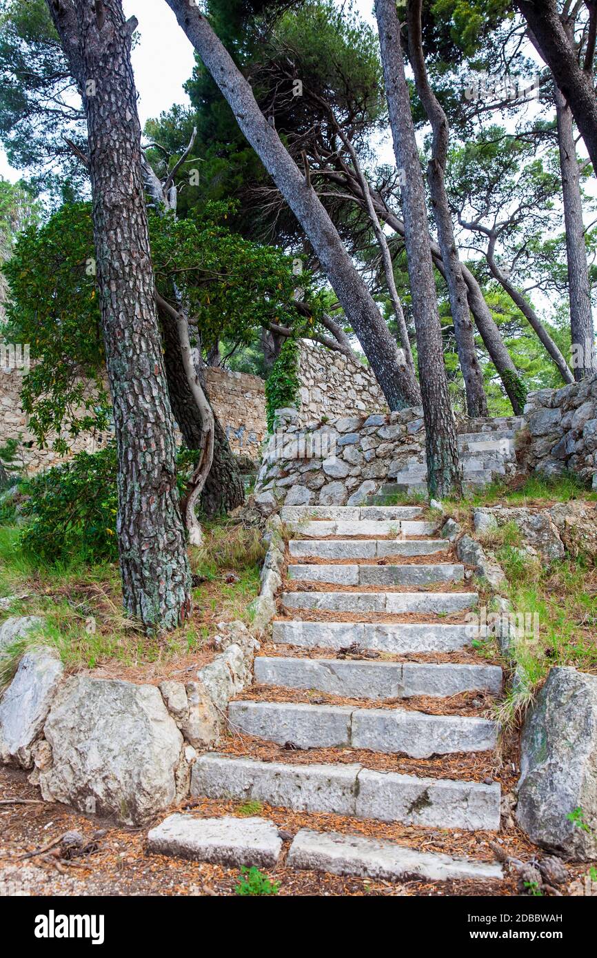 Beautiful paths of the Gradac Park in Dubrovnik Stock Photo - Alamy