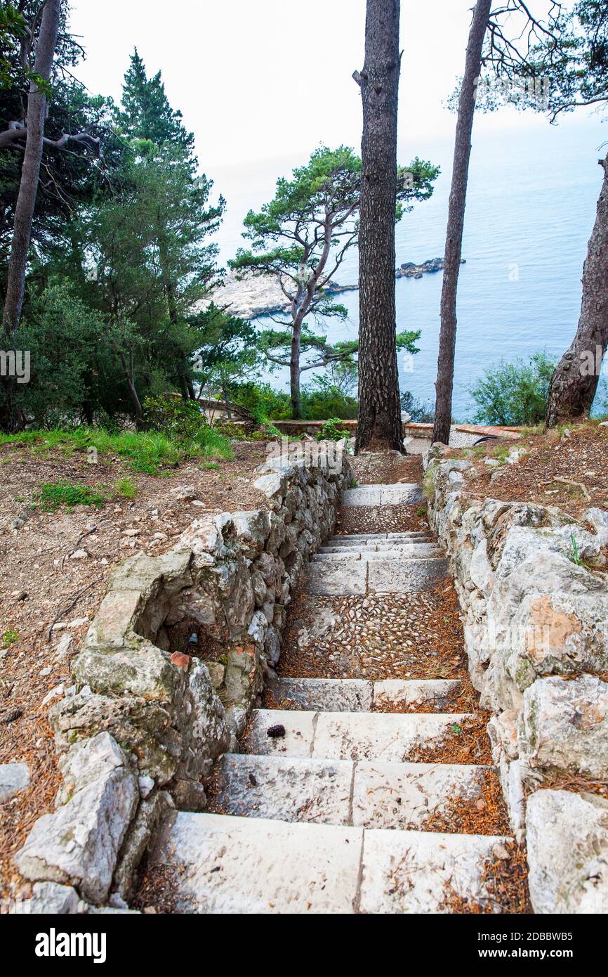 Beautiful paths of the Gradac Park in Dubrovnik Stock Photo - Alamy