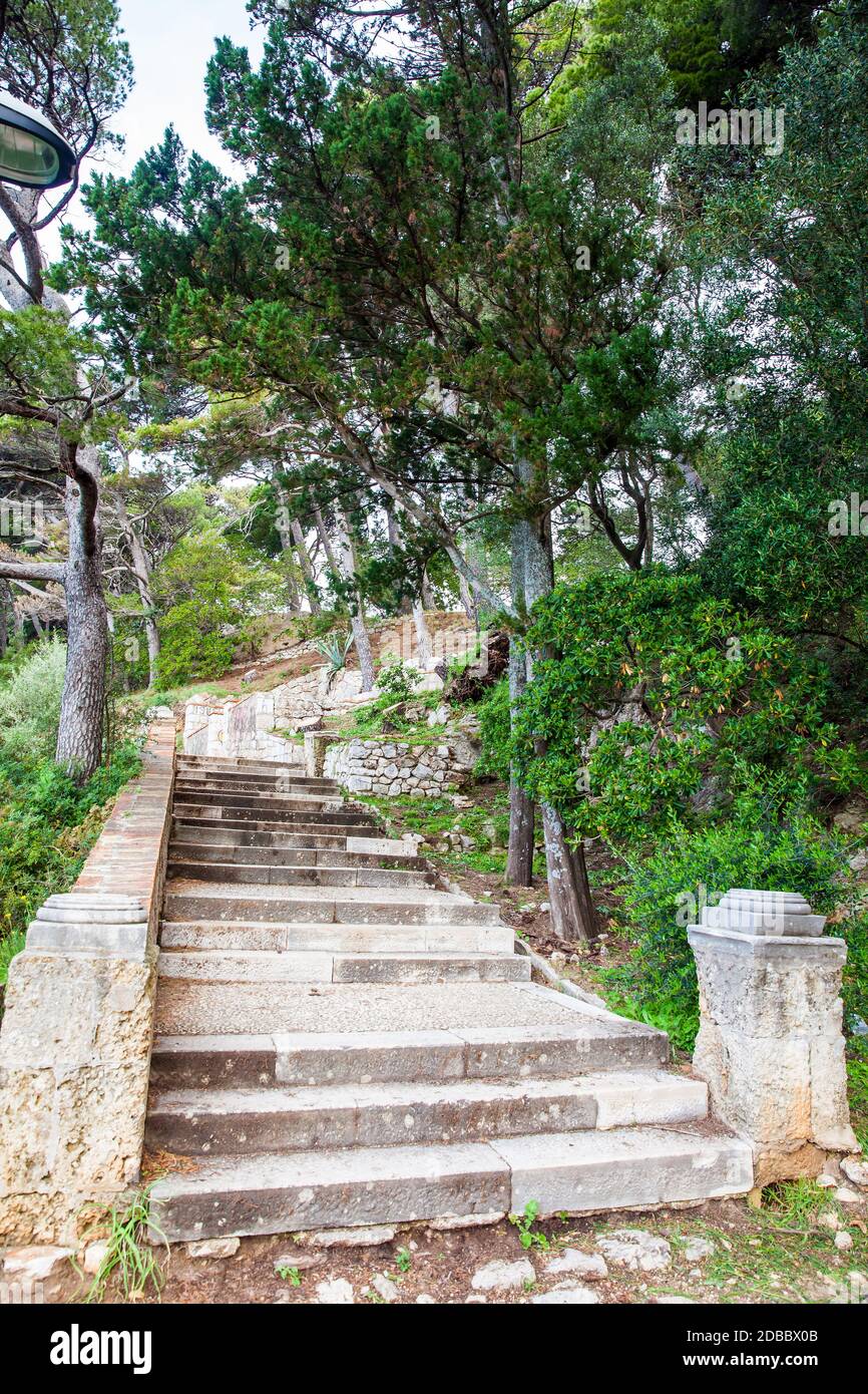 Beautiful paths of the Gradac Park in Dubrovnik Stock Photo - Alamy