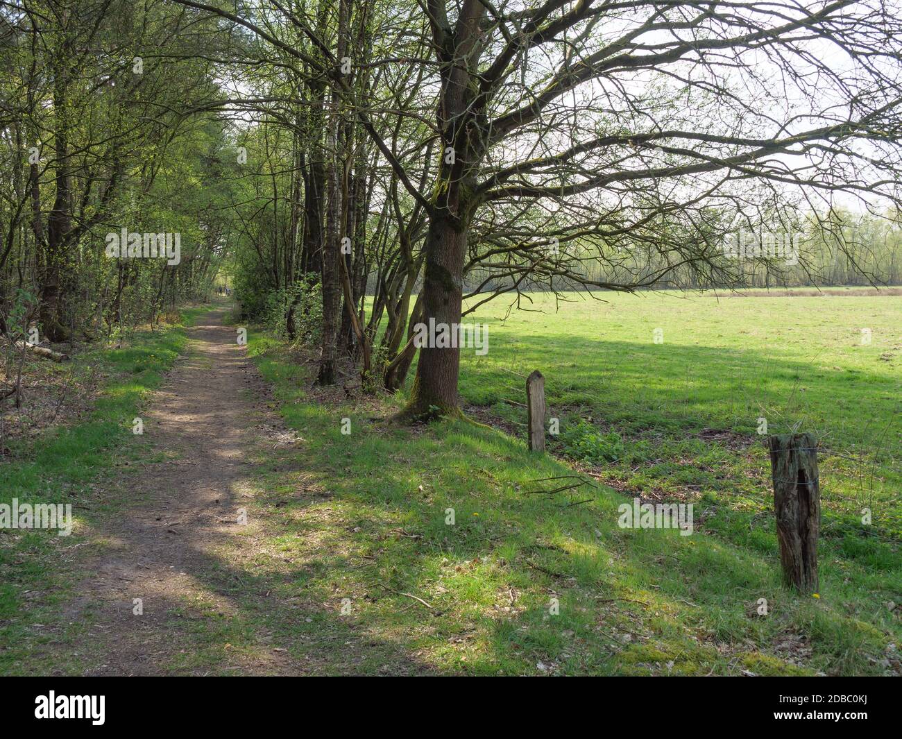 spring time in the german muensterland Stock Photo - Alamy