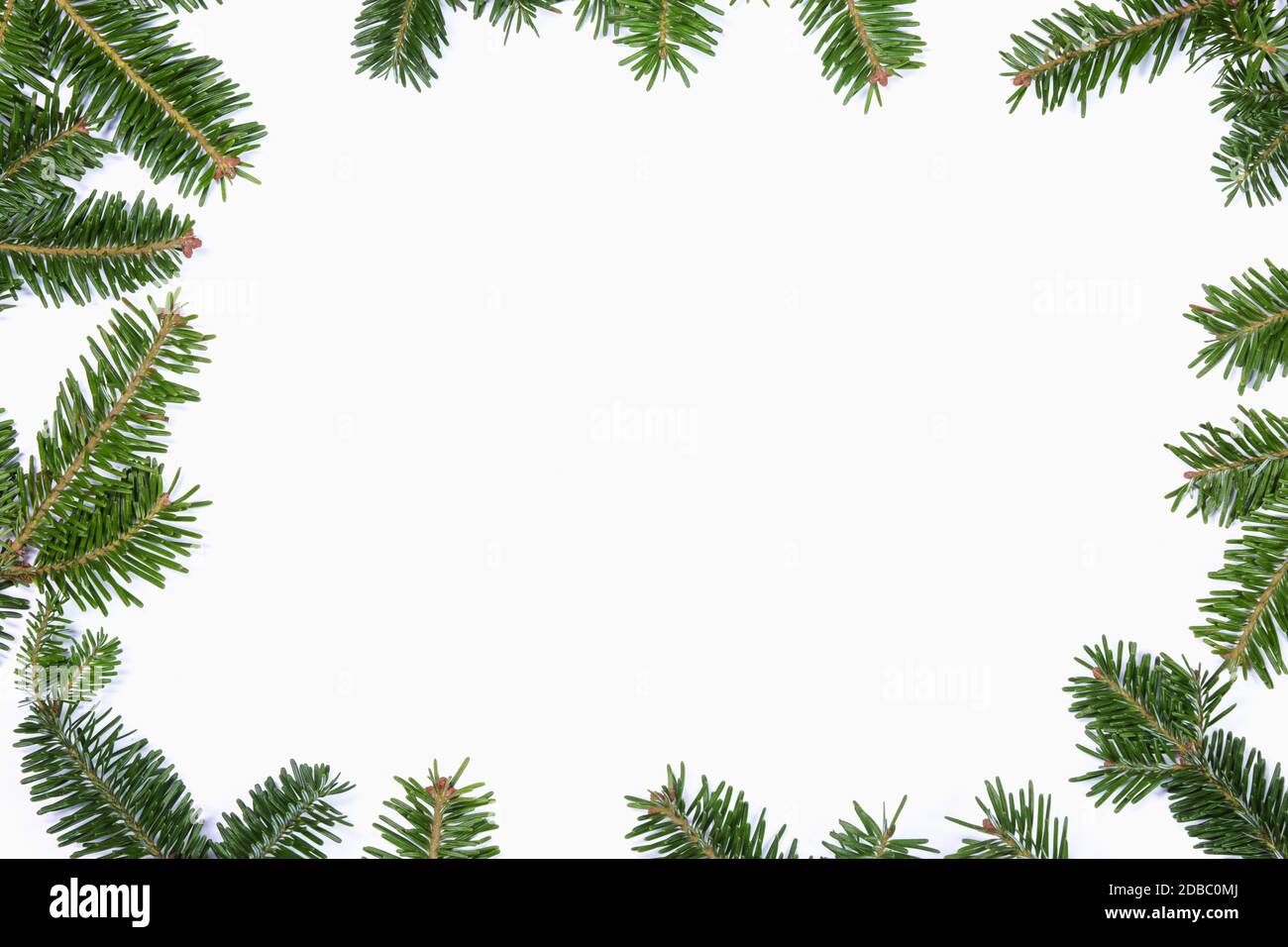 Natural fir Christmas tree border frame isolated on white , copy space ...