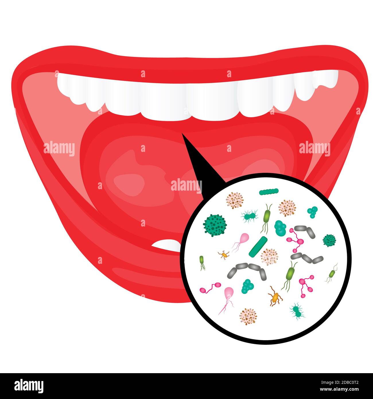 Viruses and bacteria are a cause of bad breath. Oral hygiene for good ...