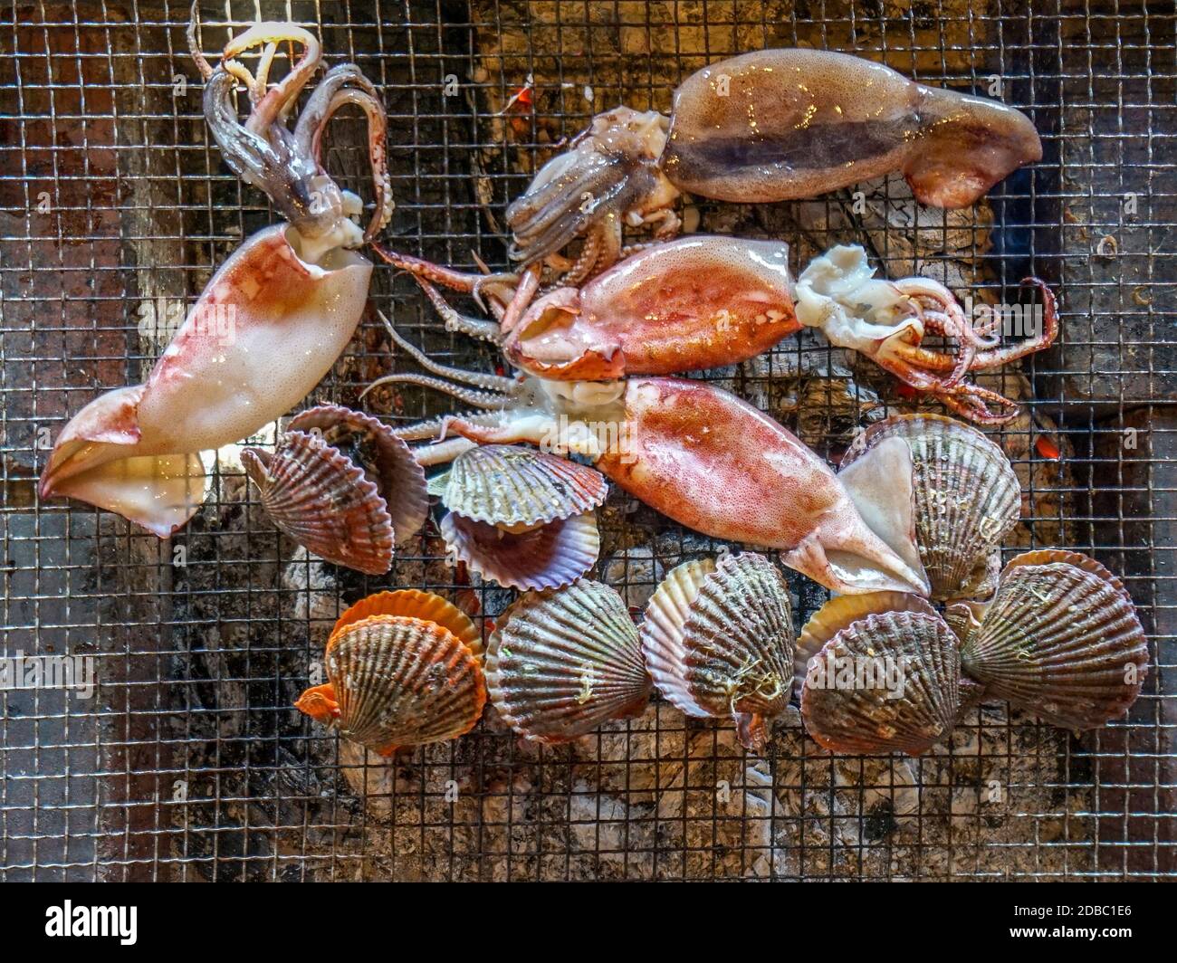 Scallop and Squid grilling on a Hot Chacoal Stove. Fresh Seafood Course ...