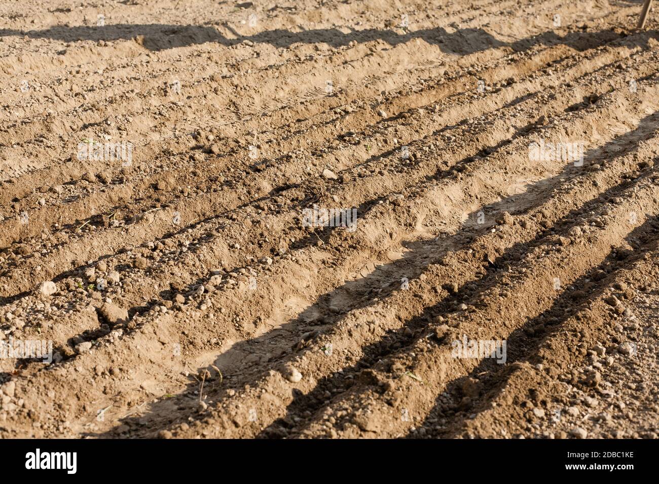 Planting seed in beds hi-res stock photography and images - Alamy