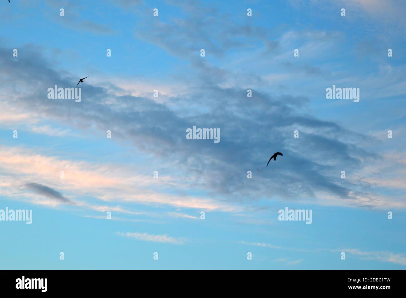 Eveing cloud hi-res stock photography and images - Alamy