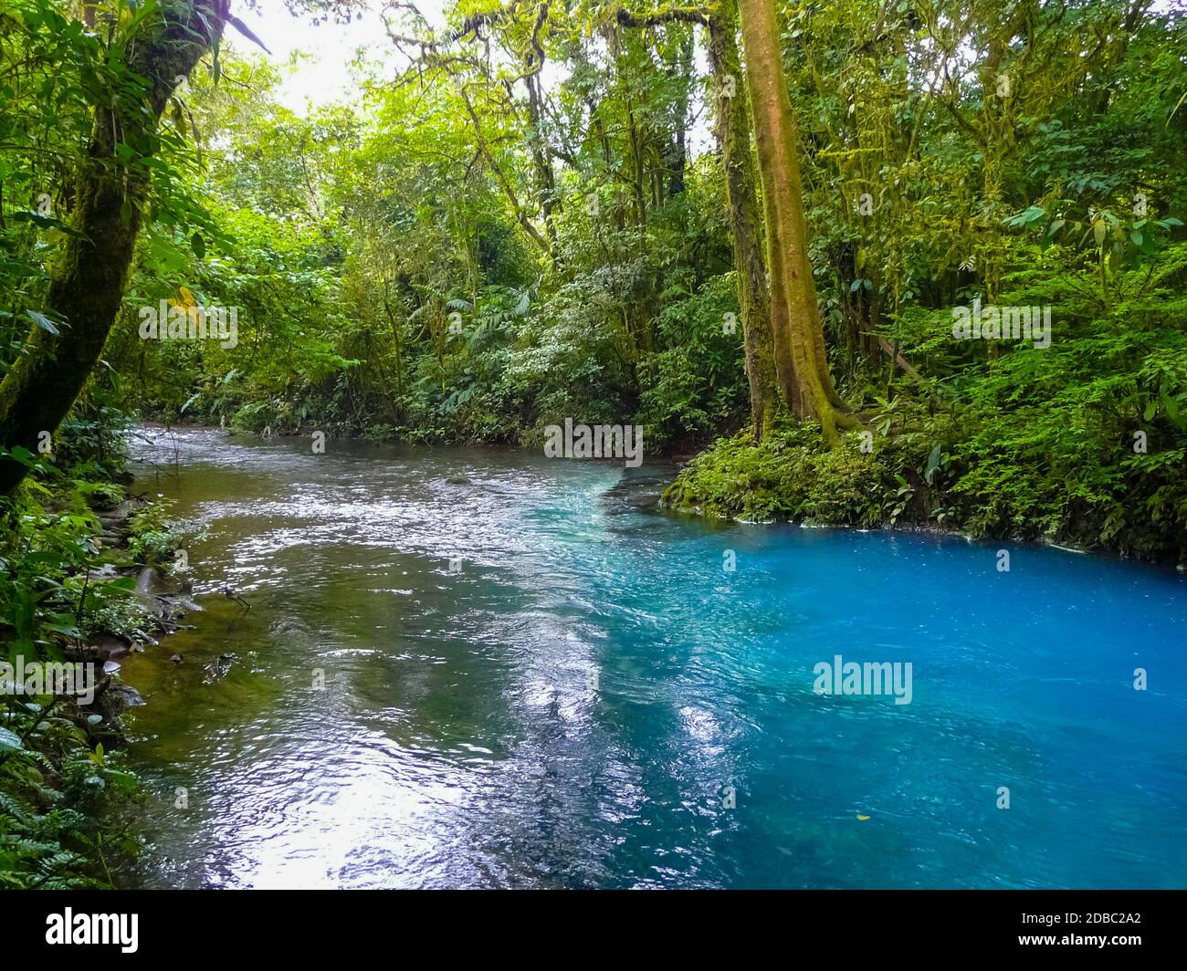 Rio Celeste, Tenorio volcano national park, Costa Rica Stock Photo - Alamy