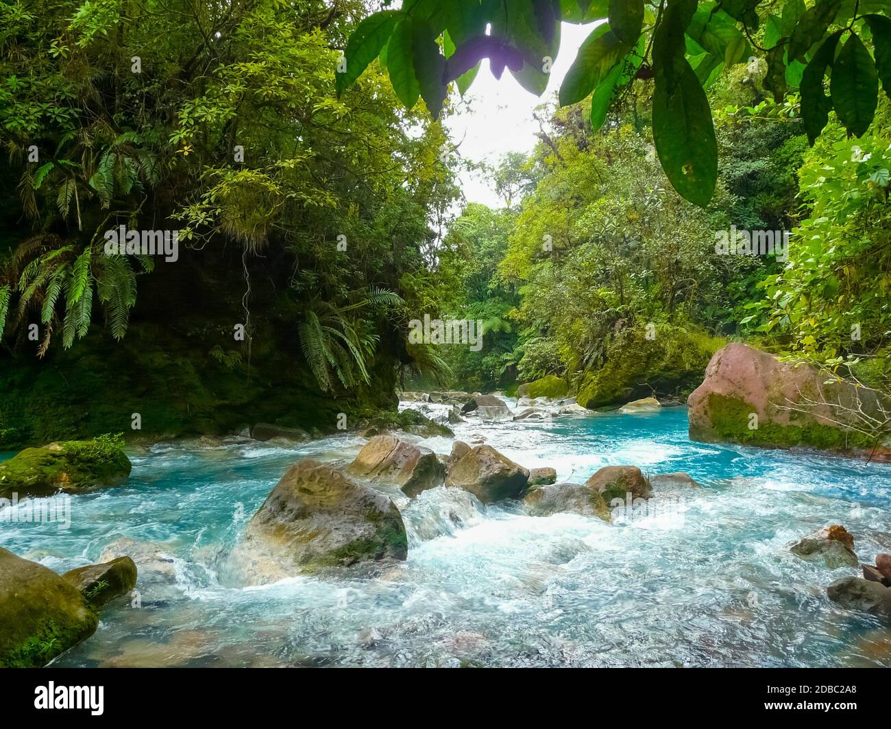 Rio Celeste, Tenorio volcano national park, Costa Rica Stock Photo - Alamy