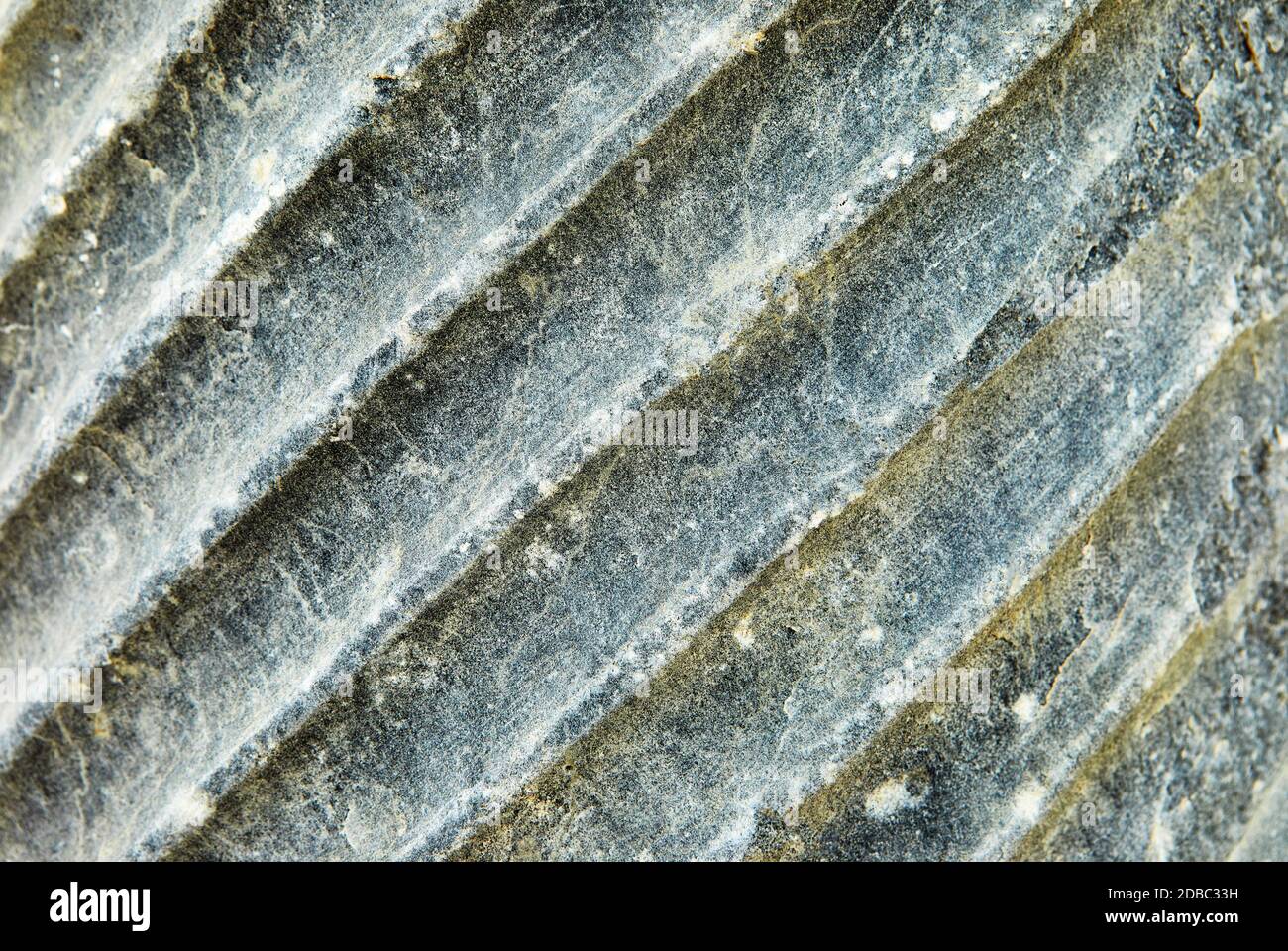 Natural stone texture with longitudinal stripes and surface background ...