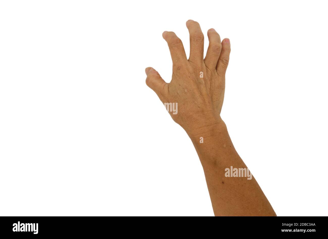 Woman right hand on a white background.Clipping path Stock Photo - Alamy
