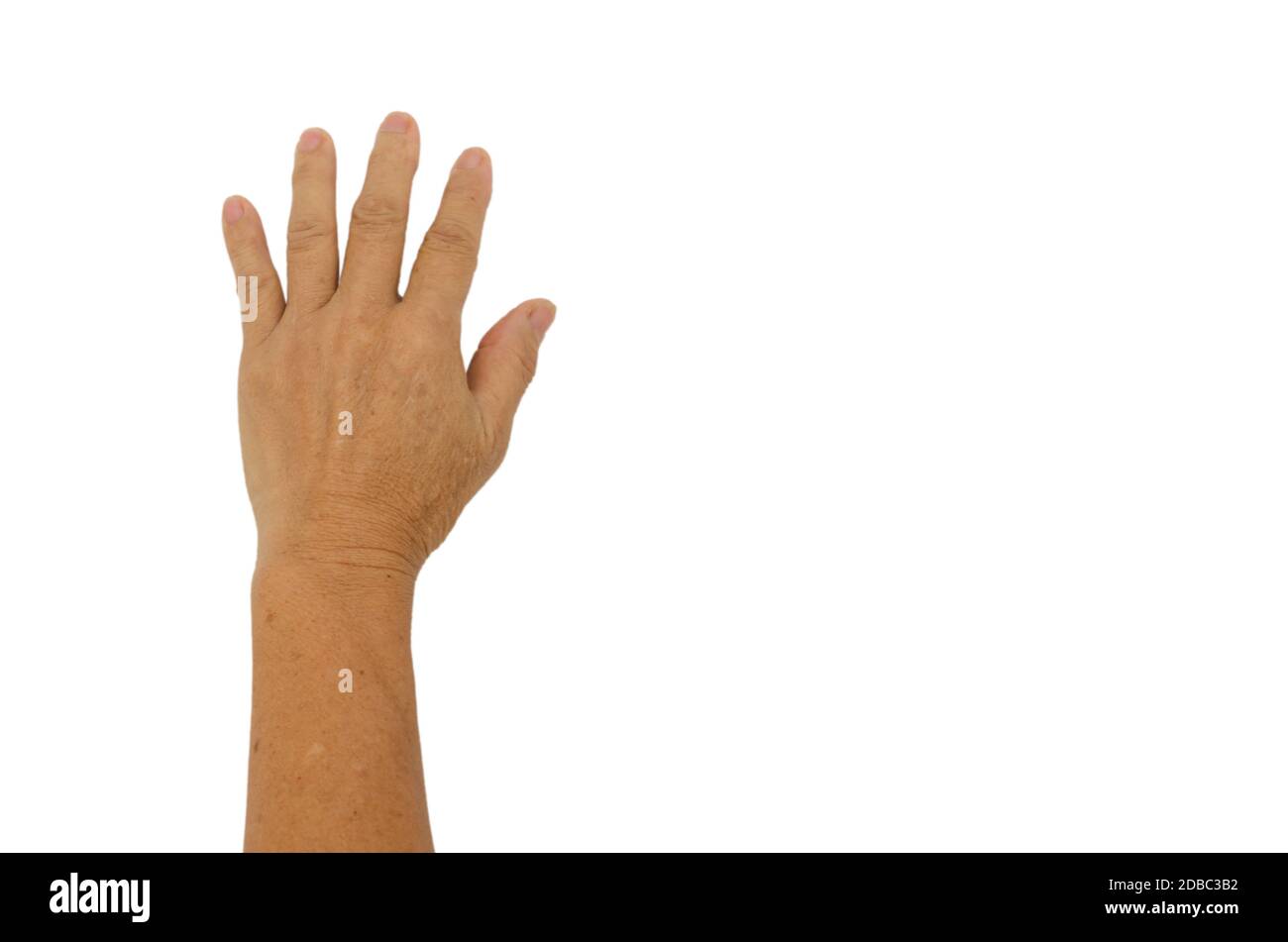 Woman left hand on a white background Stock Photo - Alamy