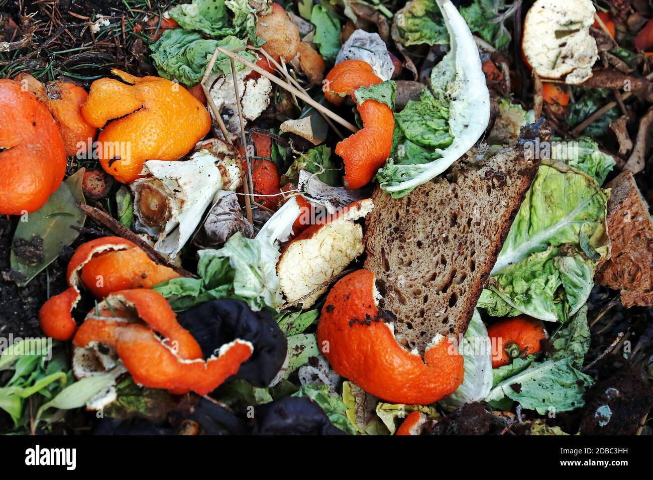Mouldy fruit vegetables hi-res stock photography and images - Alamy