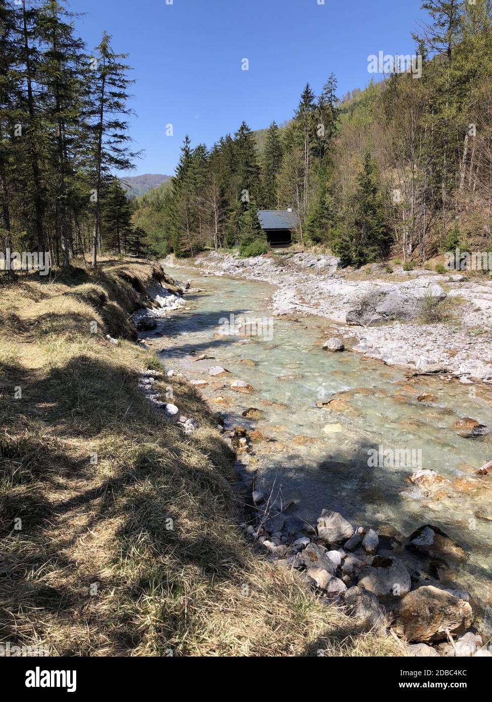 Alpine creek hi-res stock photography and images - Alamy