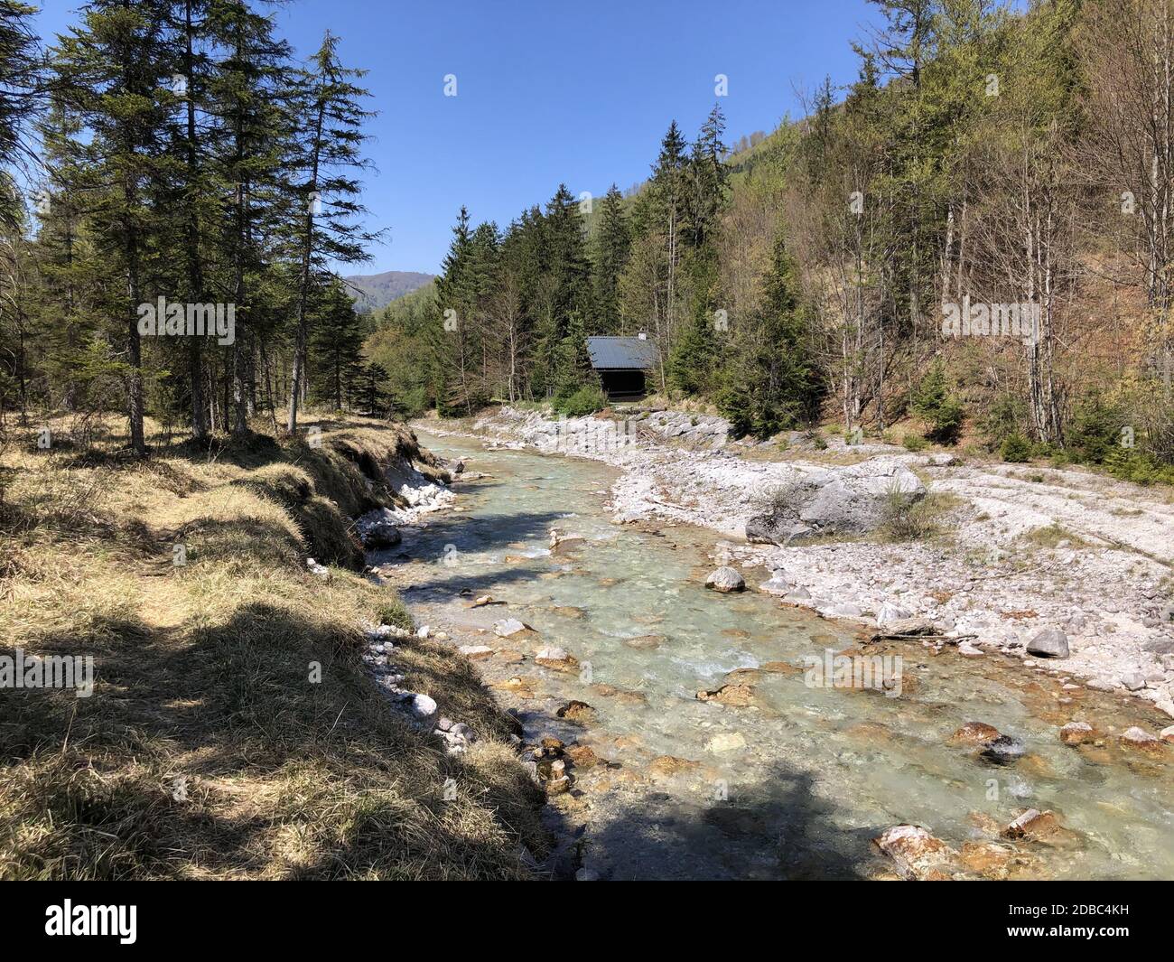 Alpine creek hi-res stock photography and images - Alamy