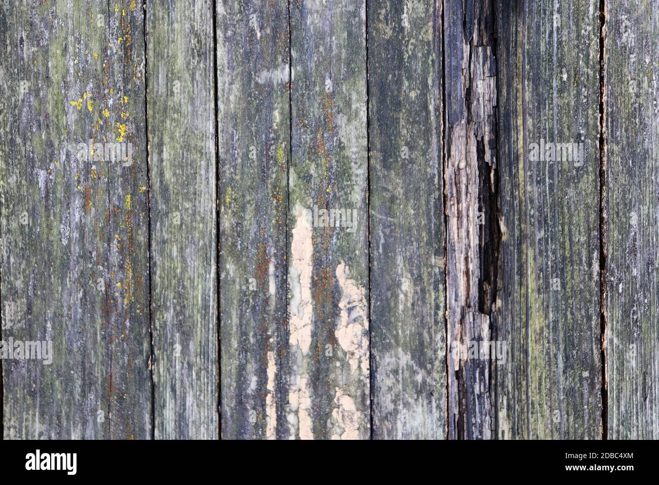 Weathered Wood Texture. Old Wooden Panel Structure Stock Photo - Alamy