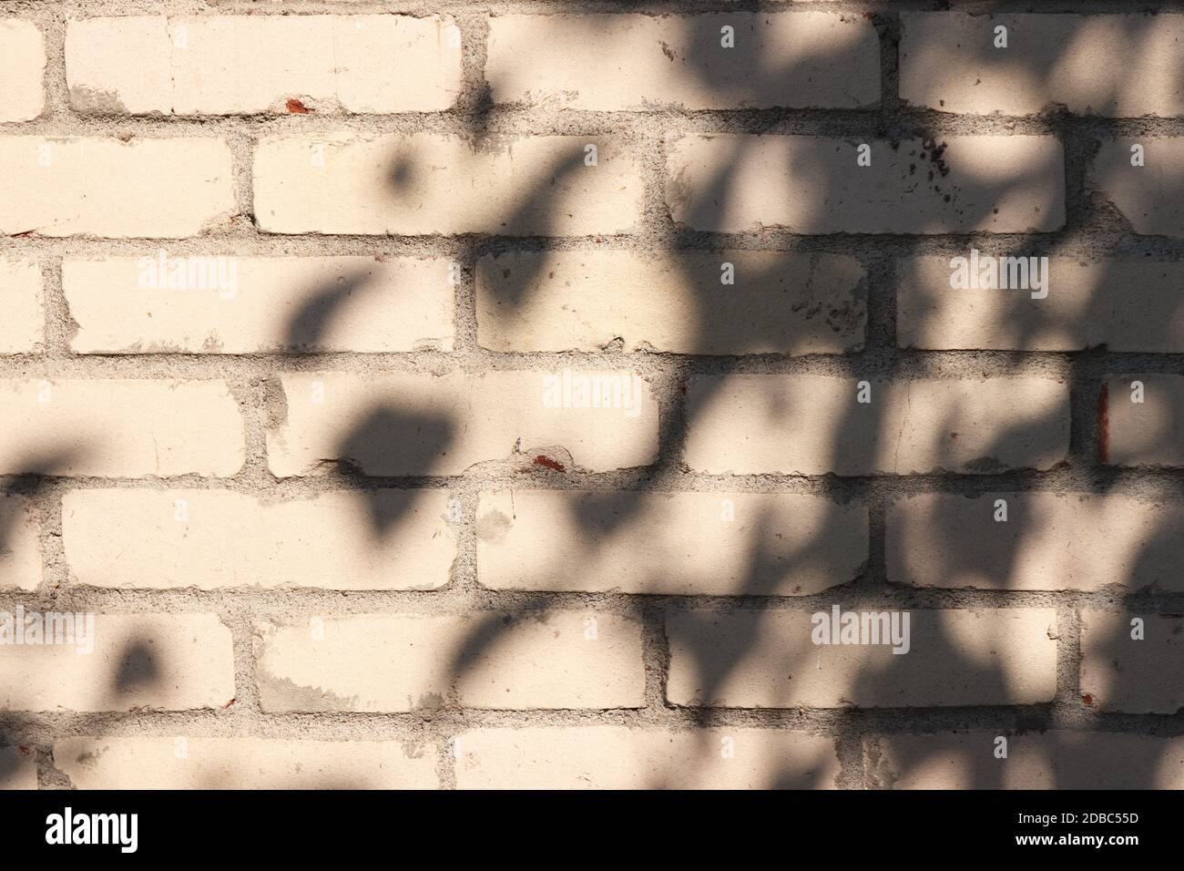 Bricks Wall with Sun Rays and Shadow from Trees Stock Photo - Alamy