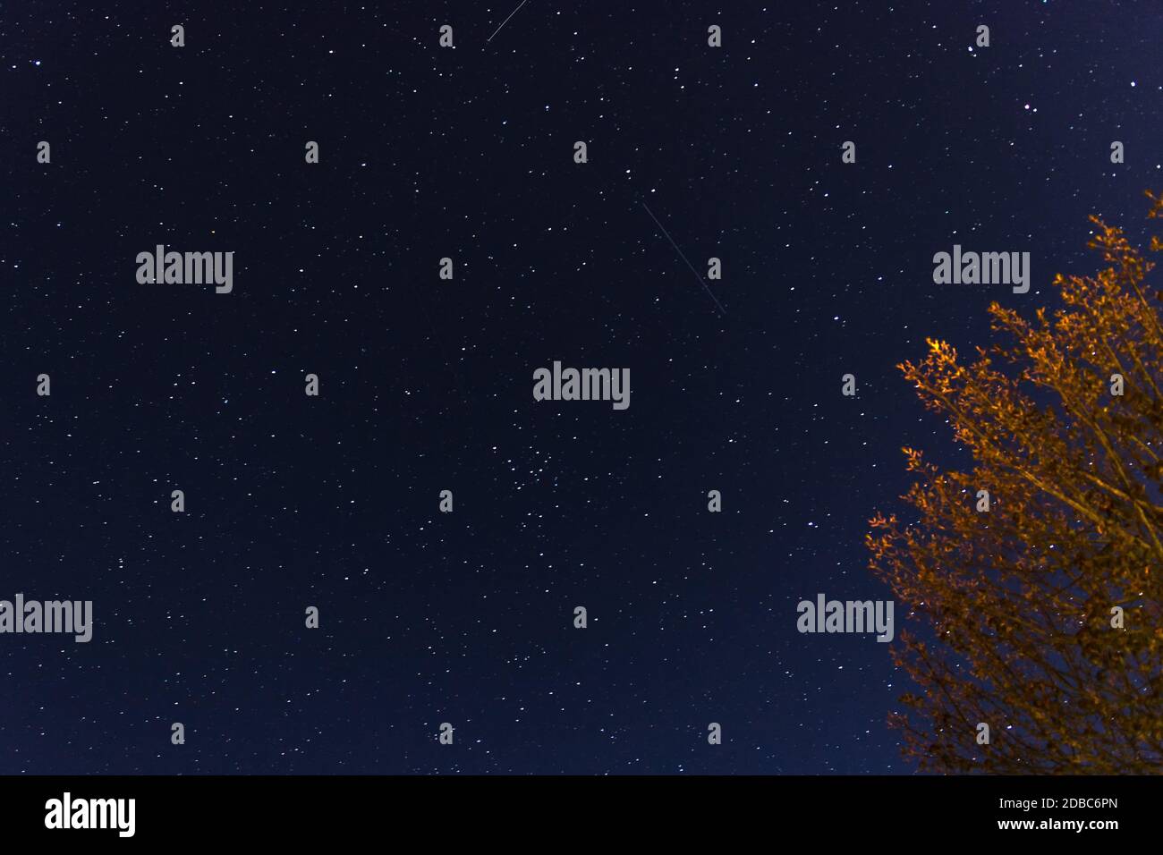 falling star and stars in the night sky Stock Photo - Alamy