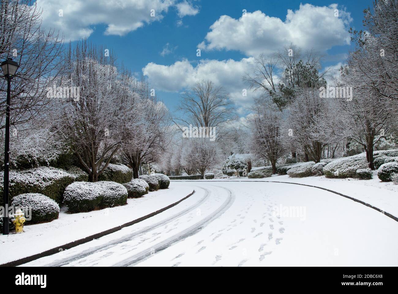 A snowy street with trees and street lamp Stock Photo - Alamy