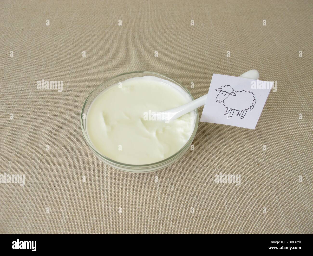 Fresh sheep quark, farmer cheese from the sheep in a glass bowl Stock ...