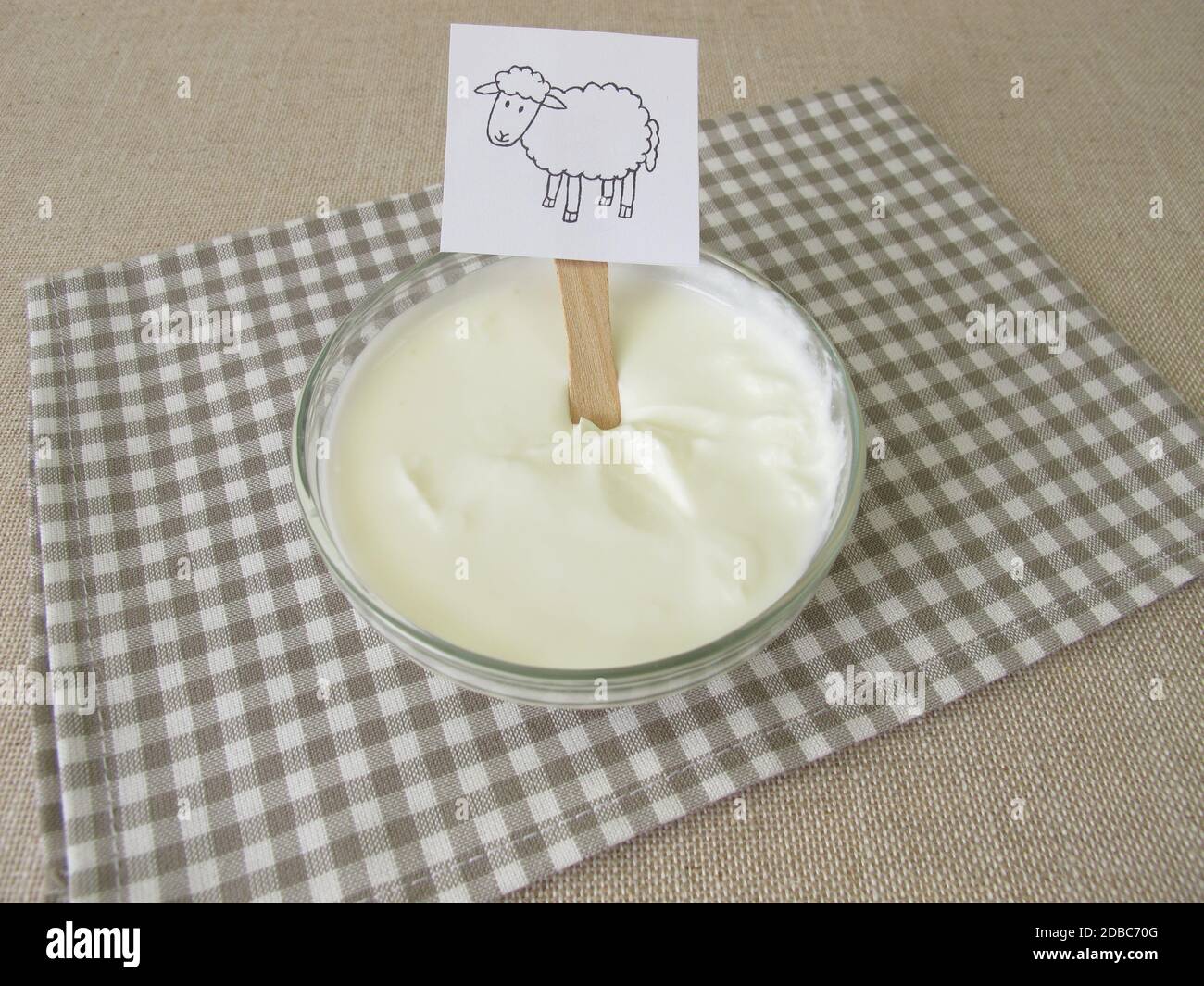 Fresh sheep quark, farmer cheese from the sheep in a glass bowl Stock ...