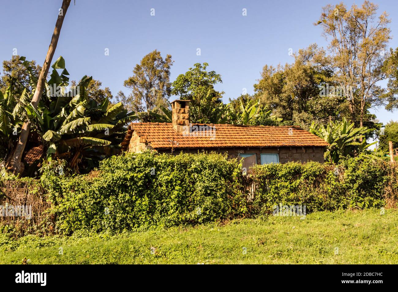 A cabin - Cottage - in the forest with surrounding greenery in an ...
