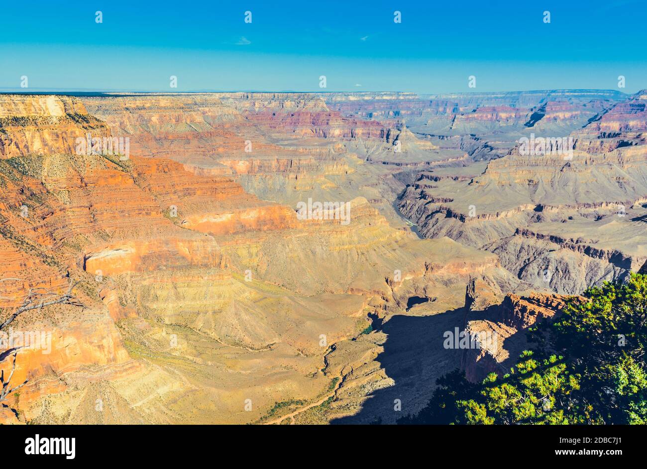 Grand Canyon view, Arizona, USA Stock Photo - Alamy