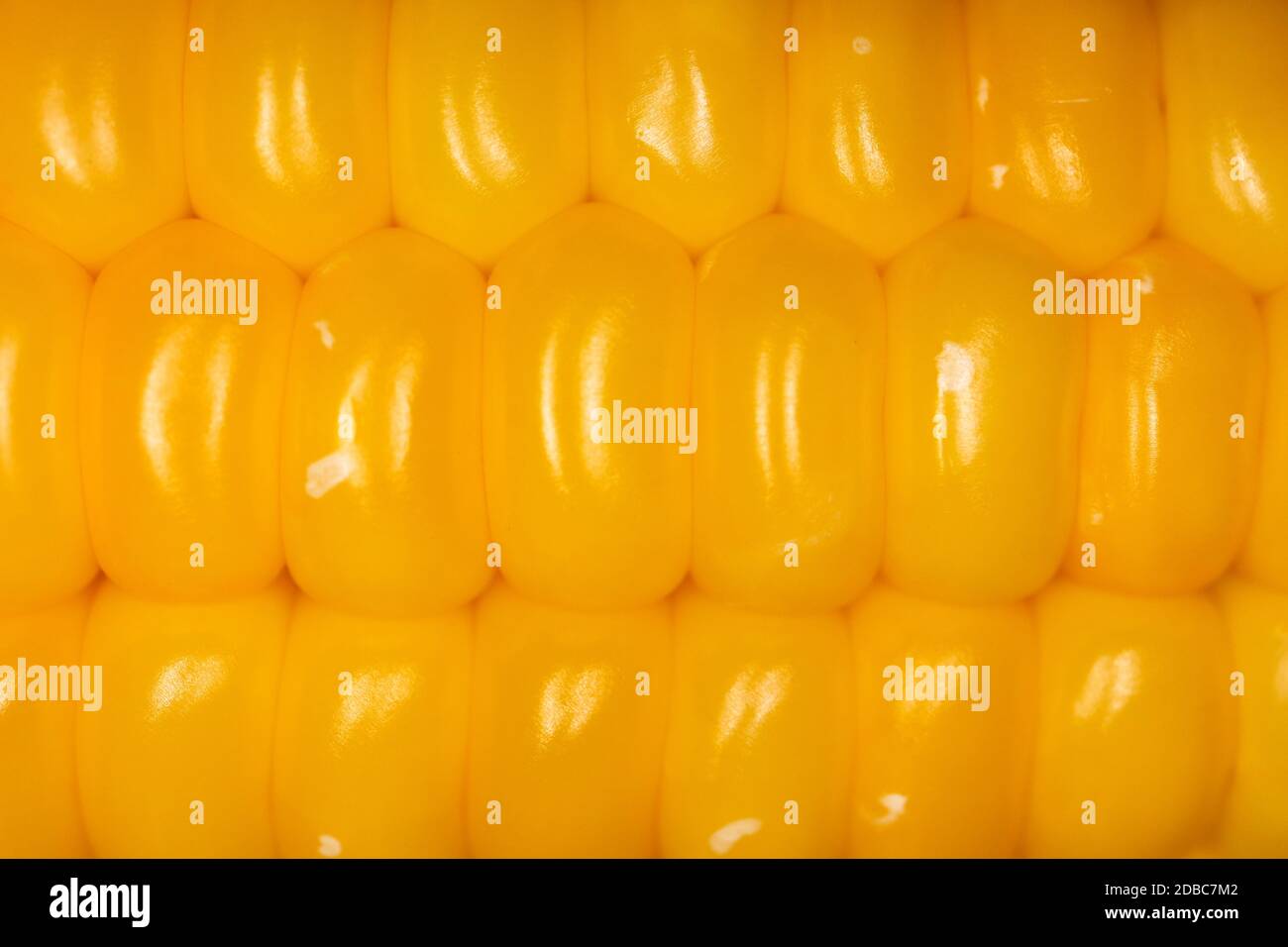 Macro corn kernels closeup texture. Freshness yummy background. Cooking ...