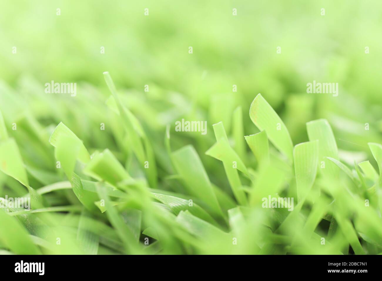 Green artificial grass texture with blurred background. Modern soft ...