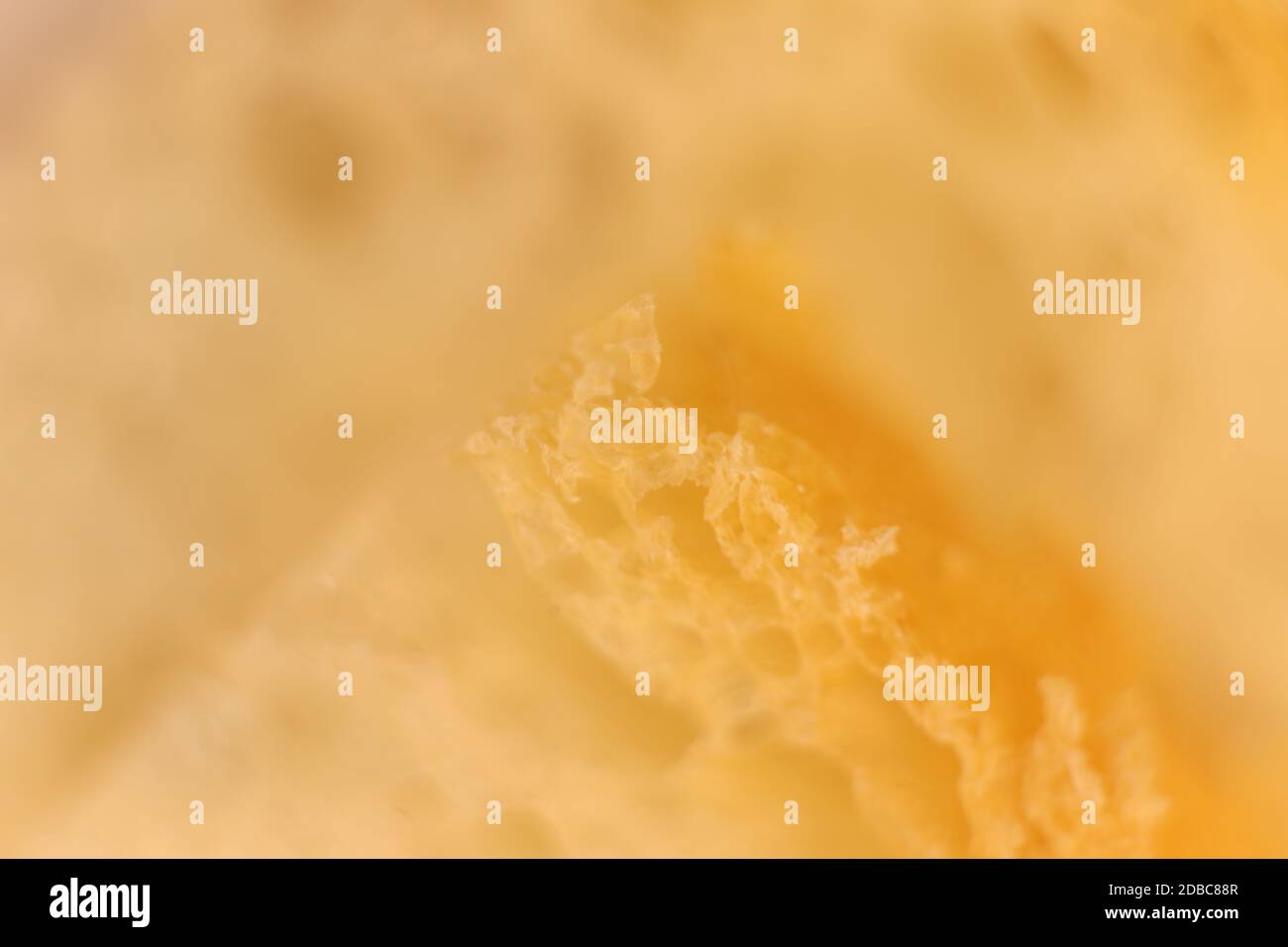 Pulp of bread macro closeup. Texture background. Slice. Corner Stock ...