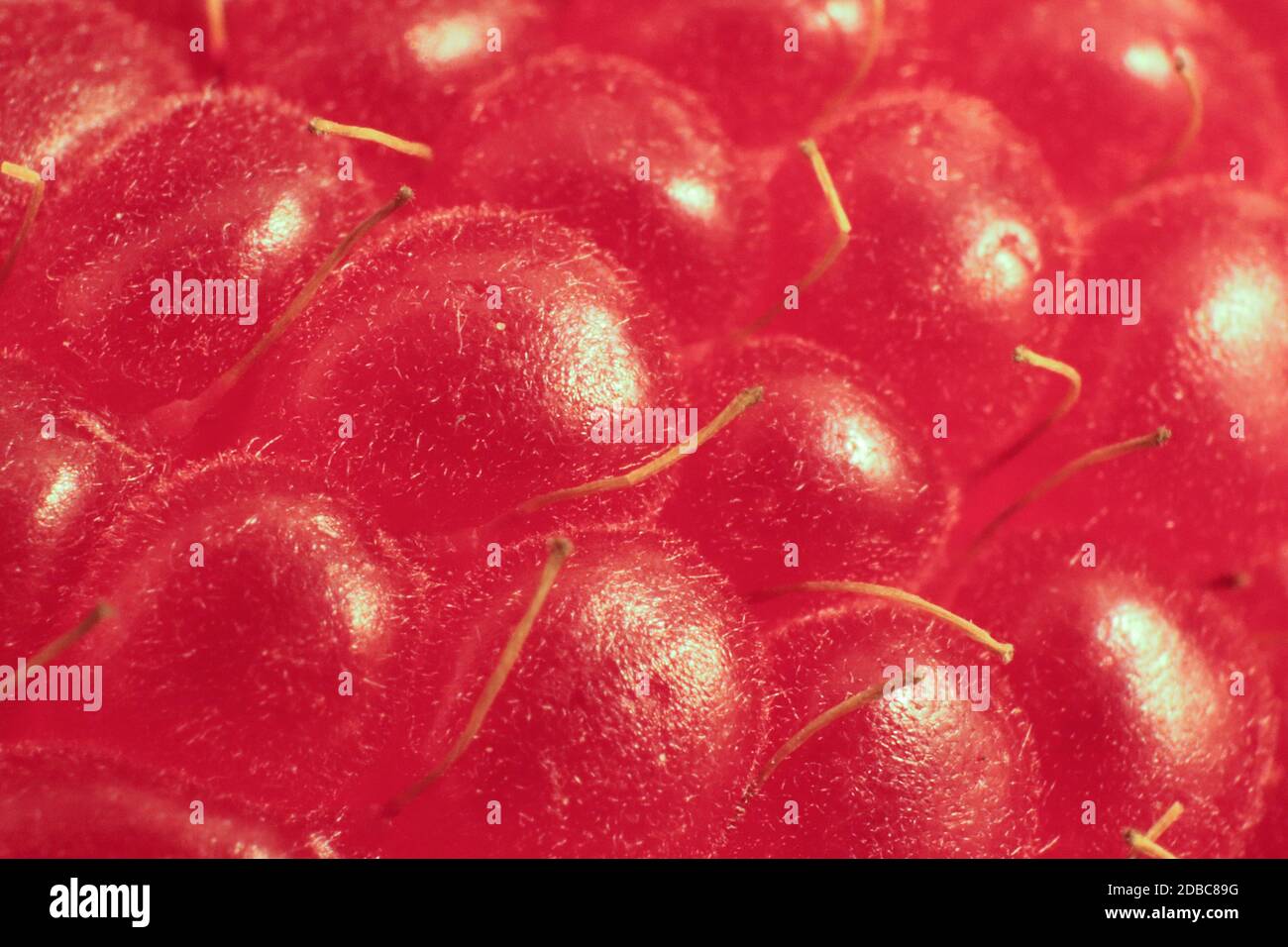 Raspberry Macro Closeup. Texture Background Stock Photo - Alamy