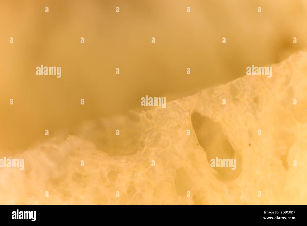 Pulp of bread macro closeup. Texture background. Slice section. Corner ...