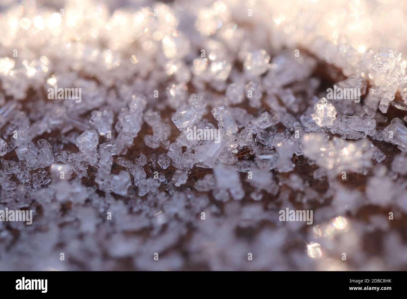 Frosted Dry Leaf Surface Texture. Frost Ice on Forest Morning. Natural ...