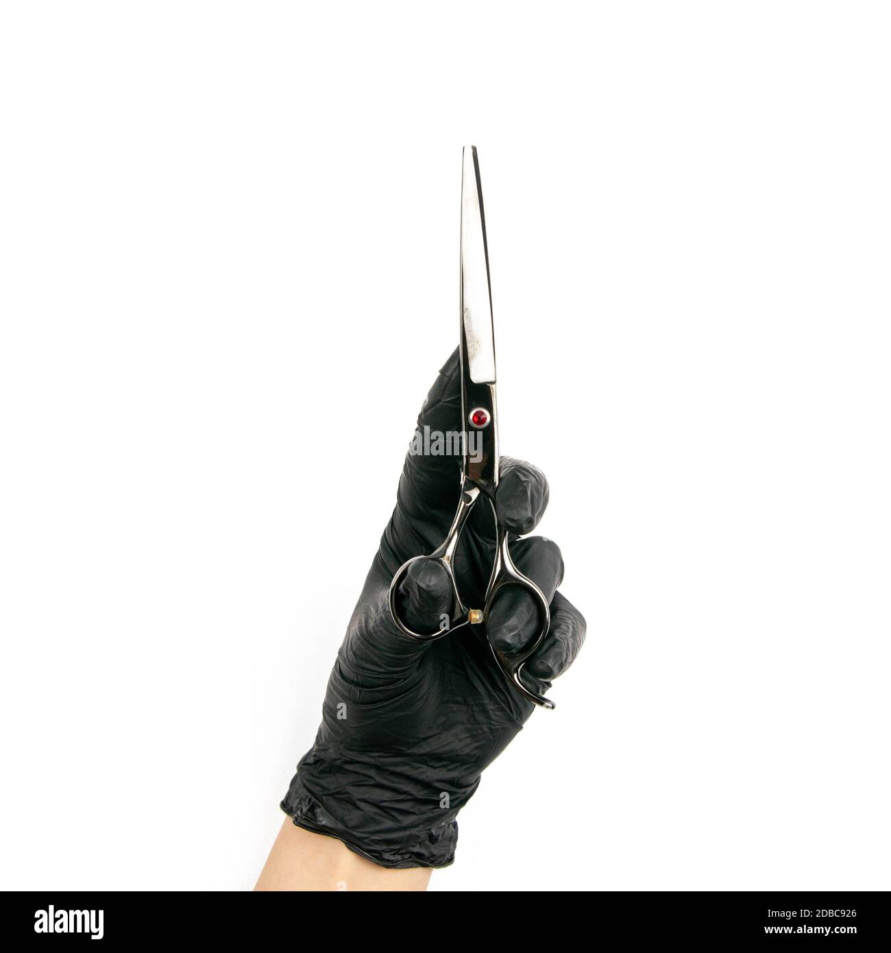 Gloved hand holding a black scisors on an isolated white background ...