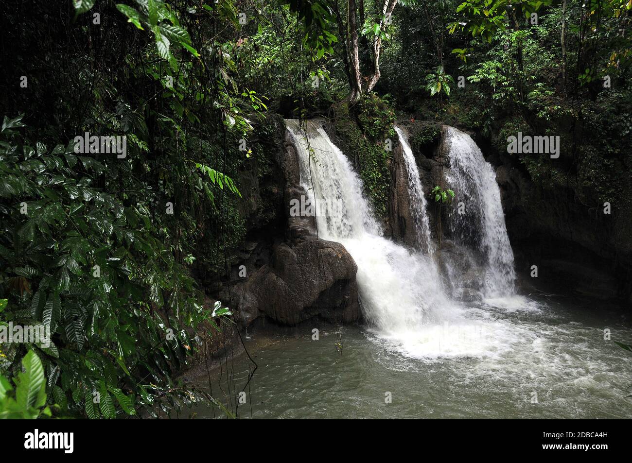 Mag-Aso-Falls on Bohol in the Philippines Stock Photo - Alamy