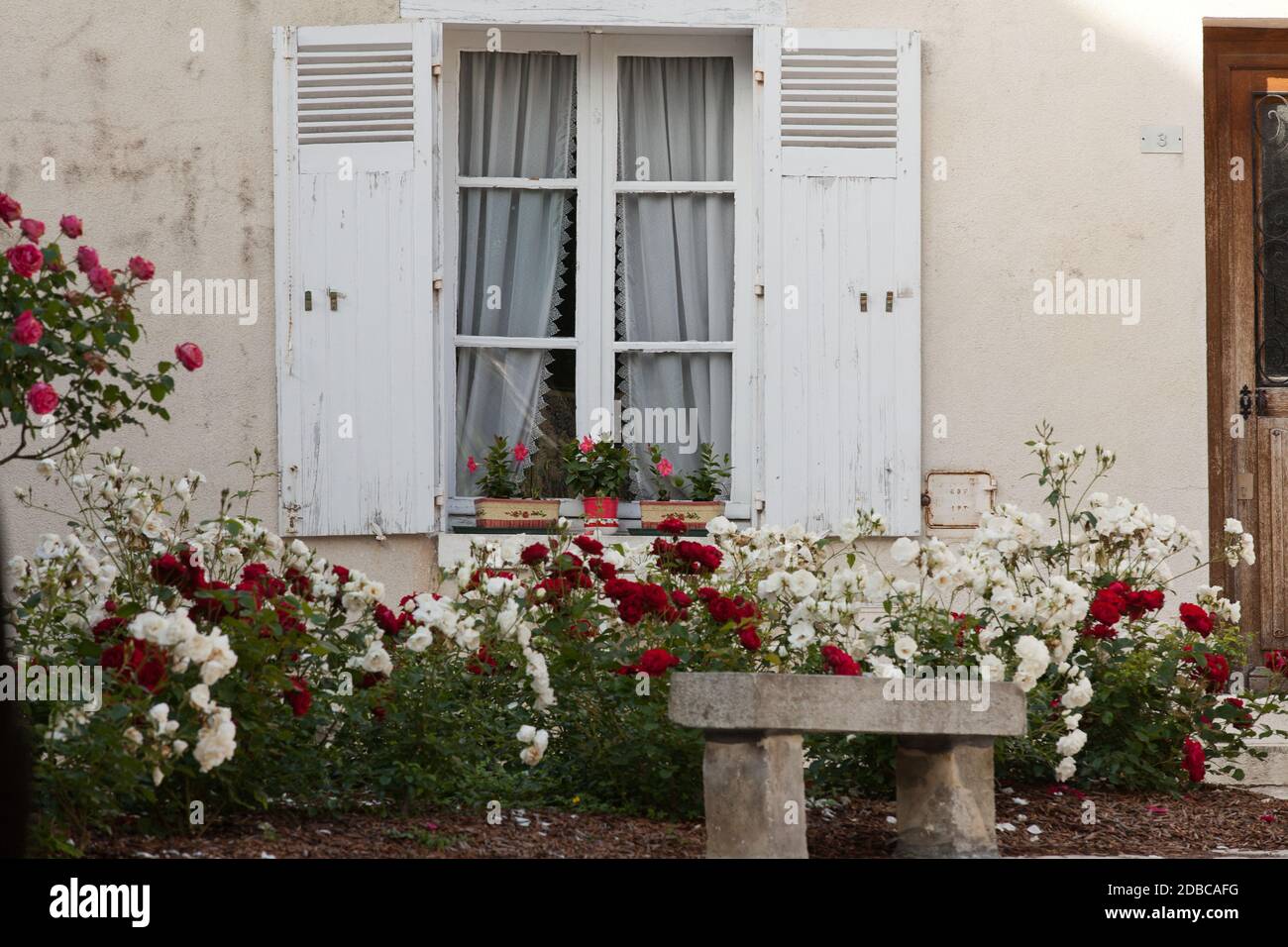 White window with flowers of geranium and roses Stock Photo - Alamy