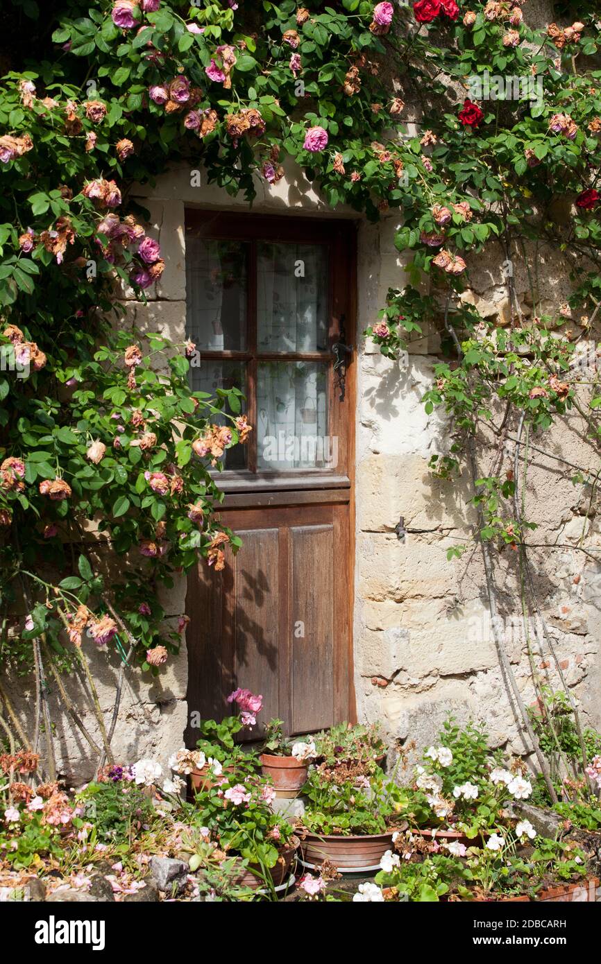 Roses around the front door hi-res stock photography and images - Alamy
