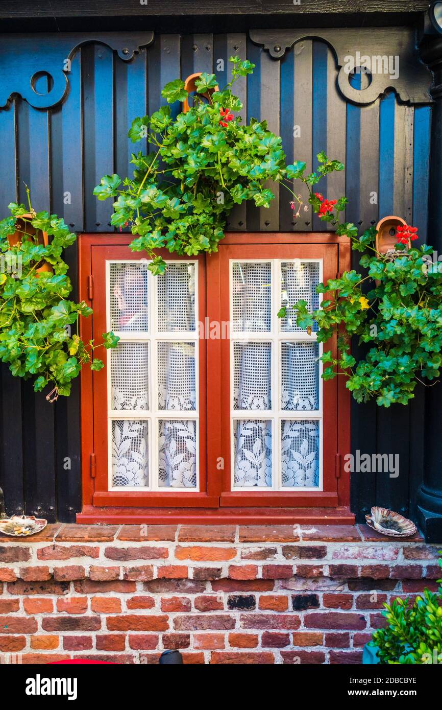 Window with white curtain and classic louvers on red wall Stock Photo ...