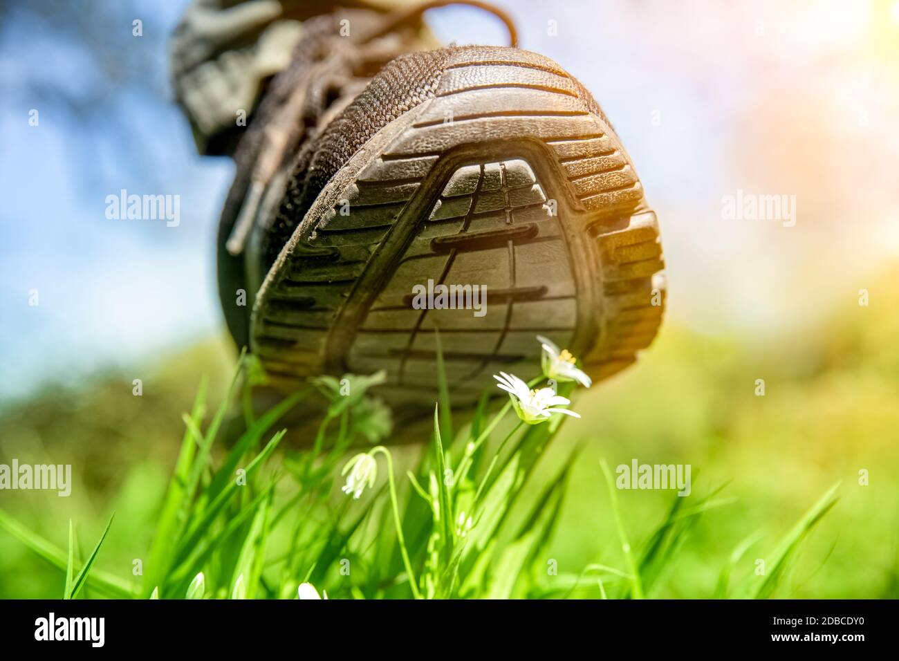 Trampled flower hi-res stock photography and images - Alamy